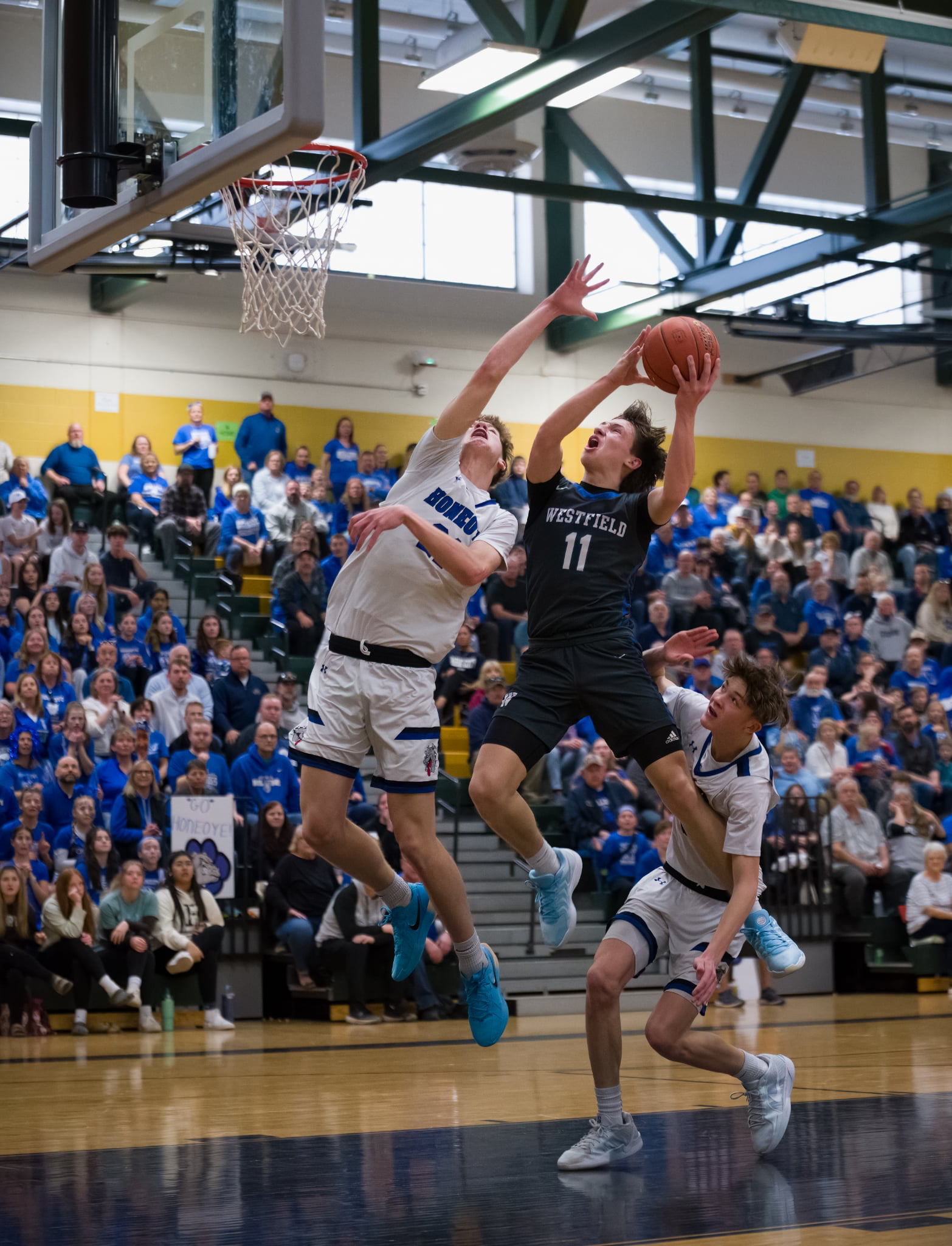 Westfield Suffers 64-60 Setback To Honeoye | News, Sports, Jobs - Post ...